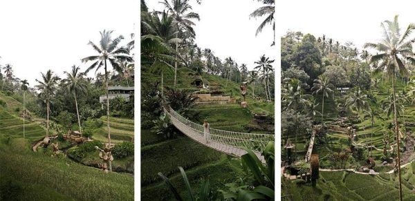 QUÉ VER EN UBUD y alrededores, BALI. 18 Lugares Imprescindibles y GUÍA ...