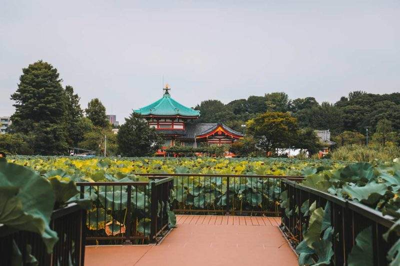 Qué ver en el PARQUE DE UENO y el BARRIO DE UENO, TOKIO. 12 Lugares ...